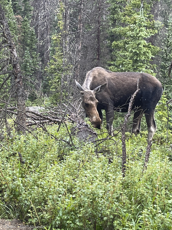 Motoring Across America - Travel Blog